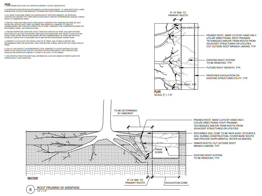 Root Pruning – AirSpade Pneumatic Soil Excavation Tools