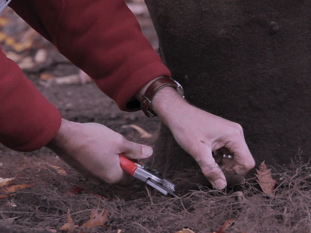 Making Money with AirSpade – AirSpade Pneumatic Soil Excavation Tools